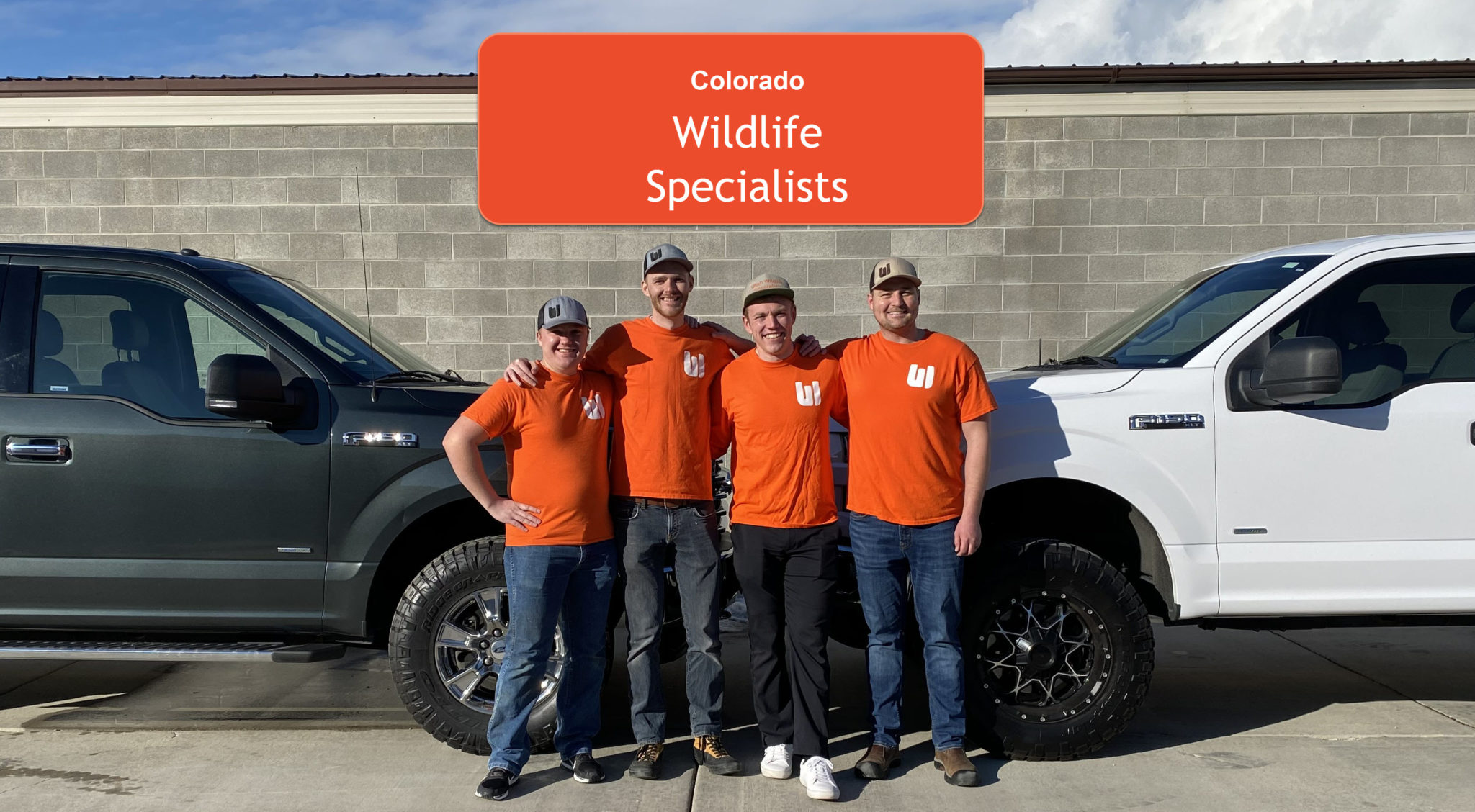 Colorado Wildlife Specialists – Wildlife Control